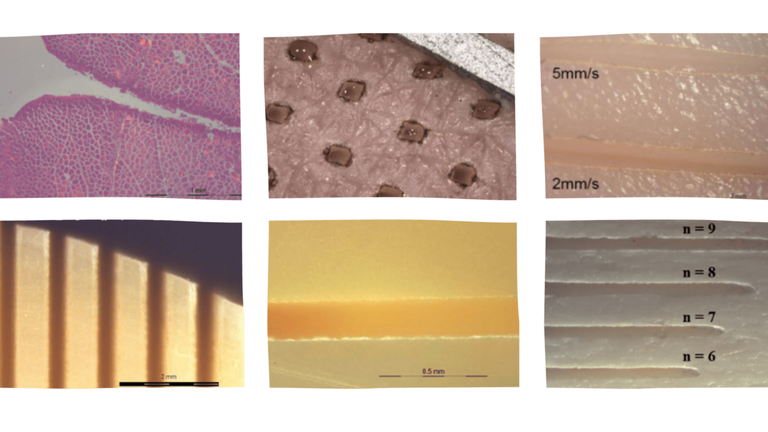 Pantec Biosolutions AG - High Power. Small. Robust.: APPLICATIONS