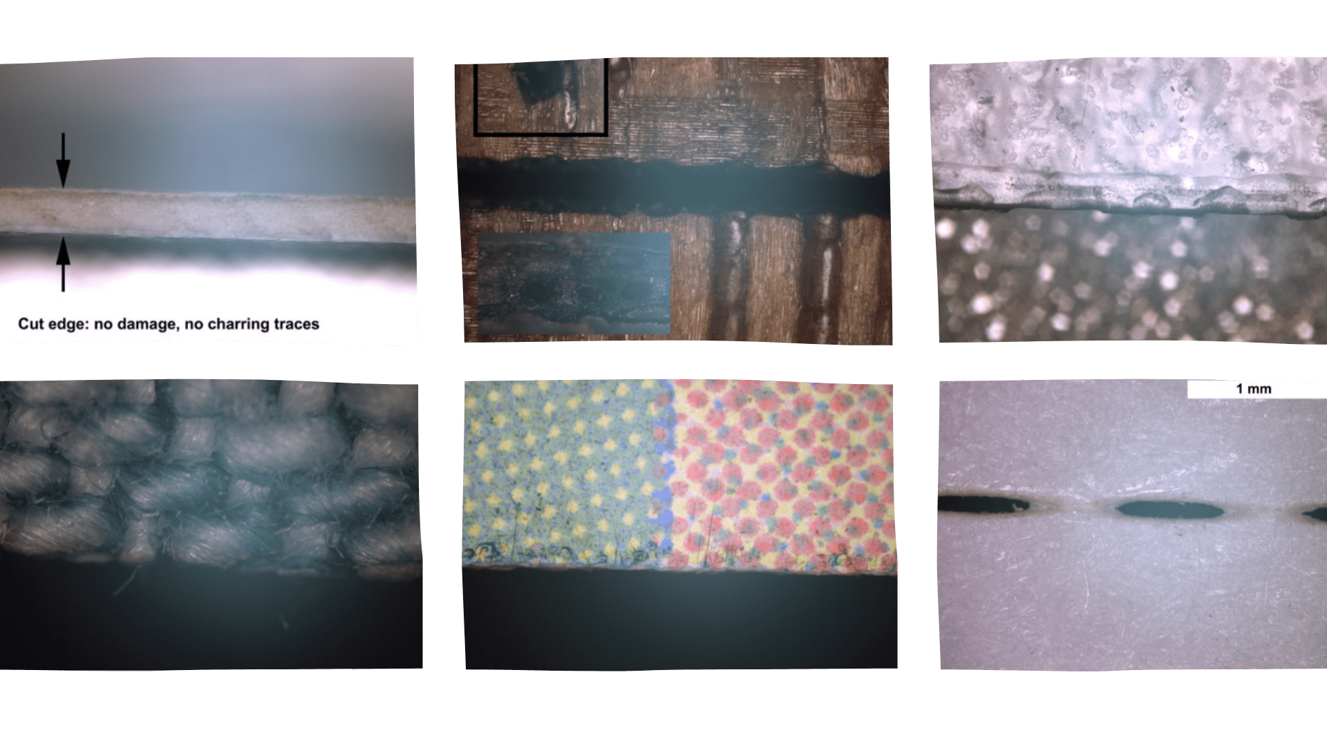 Pantec Biosolutions AG - "enabling visions and co-create cutting edge ...