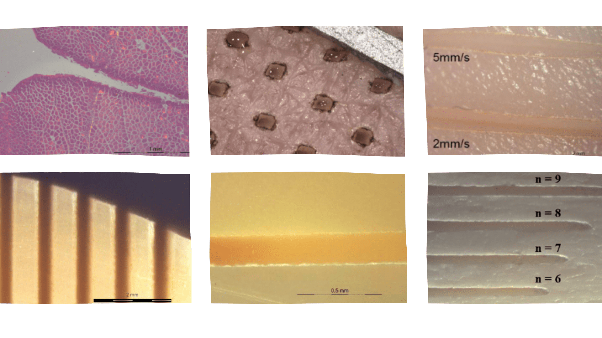 Pantec Biosolutions AG - "enabling visions and co-create cutting edge ...